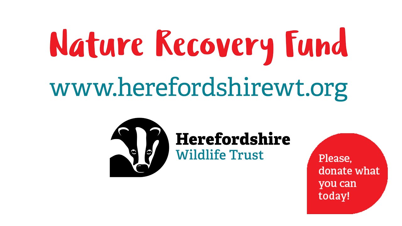 Nature Recovery Fund launch - YouTube