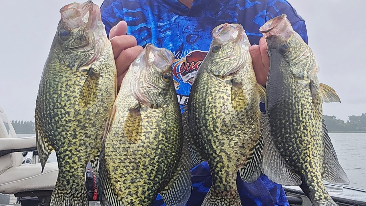 Targeting Summer Slab Crappies Over Submerged Timber - YouTube