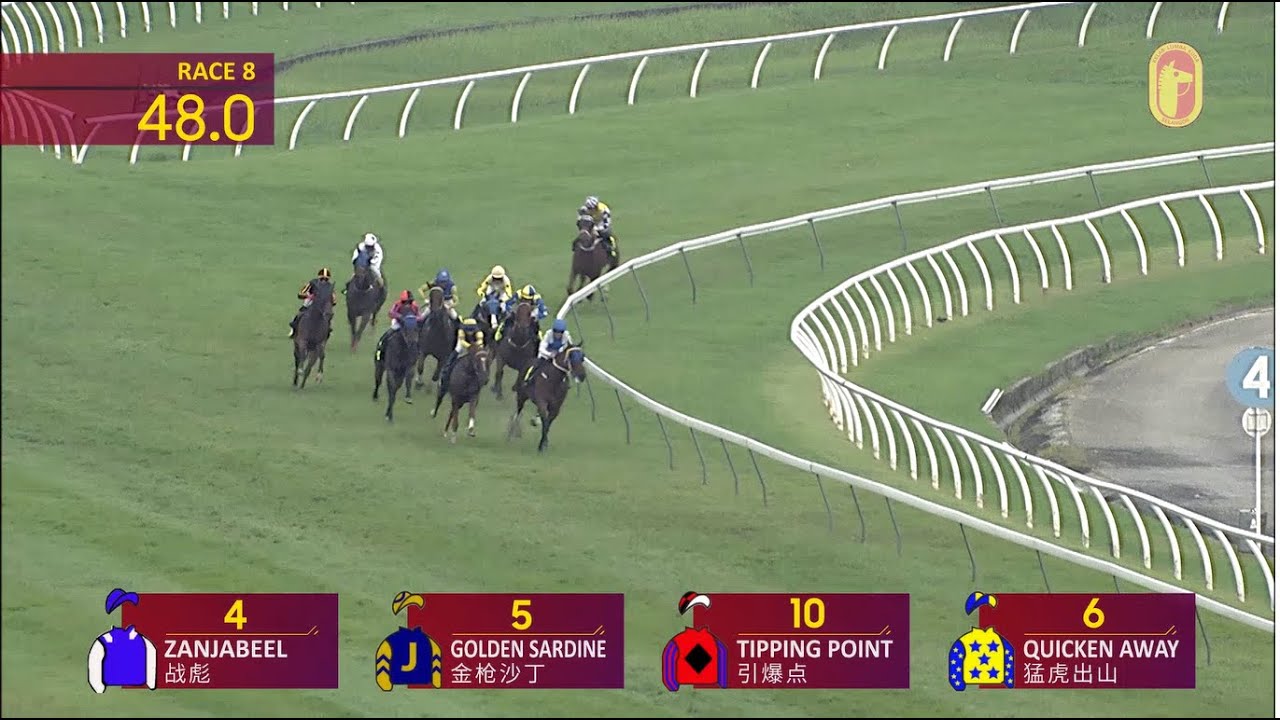 03 SEPT 2023 RACE 8 - YouTube