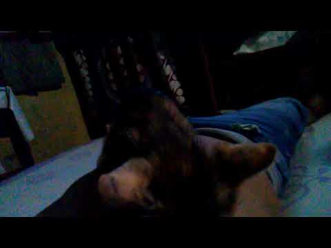 bule lgy netek sama ayah(2)