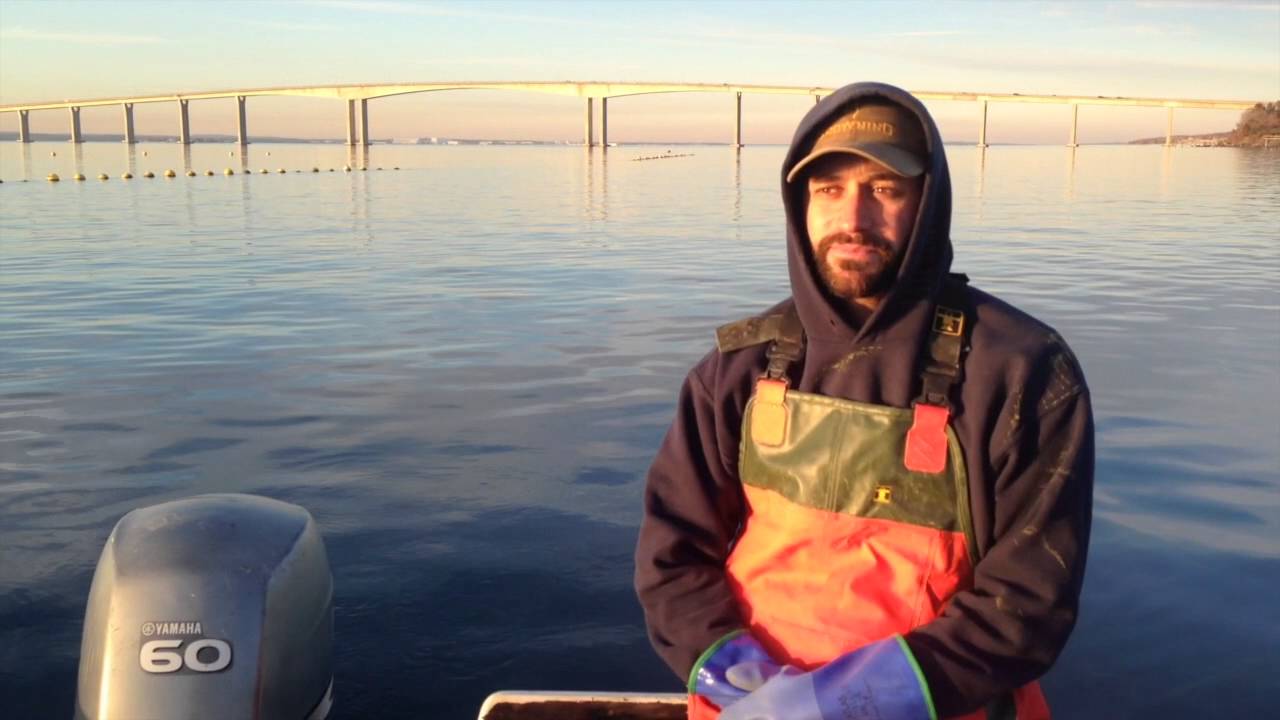Jules Opton-Himmel: RI's first kelp farmer - YouTube
