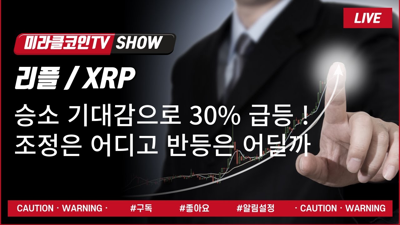 리플소송 승소 기대감으로 인한 30 폭등 조정 구간은 어디이고 반등구간은 어디일까요 필수시청 실시간대응전략