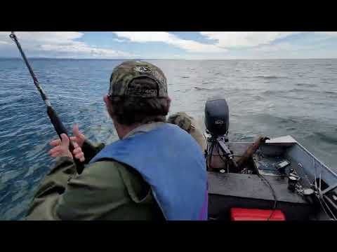 Halibut Fishing On Cook Inlet, Alaska - YouTube
