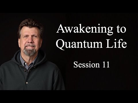 Session 11: Awakening to Quantum Life - YouTube