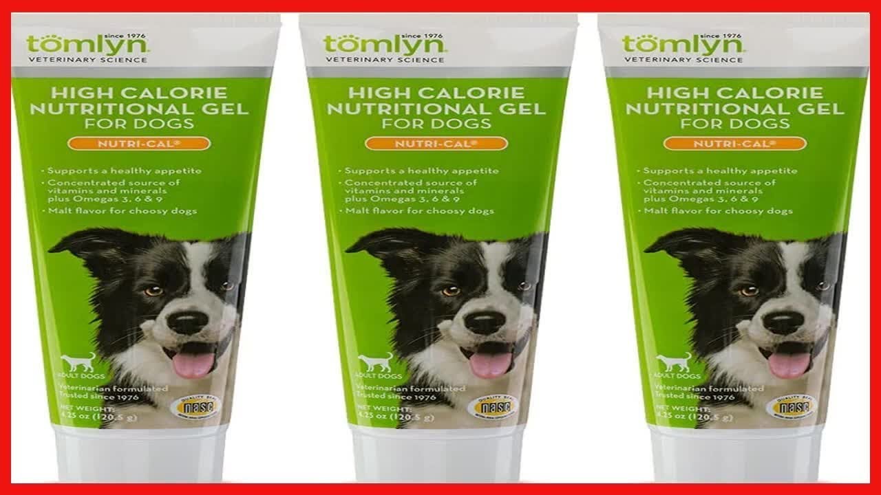 Nutri-cal High Calorie Nutritional Supplement for Dogs, 4.25 Ounce ...
