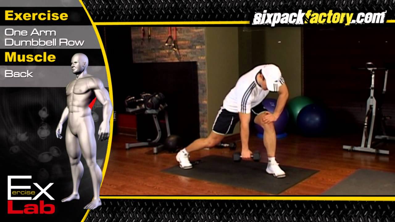One Arm Dumbbell Row : Best Back Exercises ( Lat exercises ) - YouTube