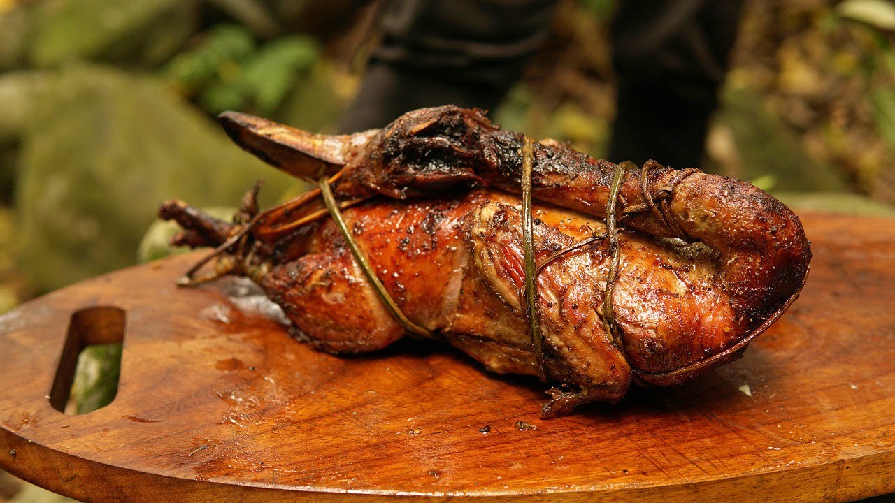 DEPRESSED DUCK - HANGING ON A SPRING - [KITCHENETE TV] - YouTube