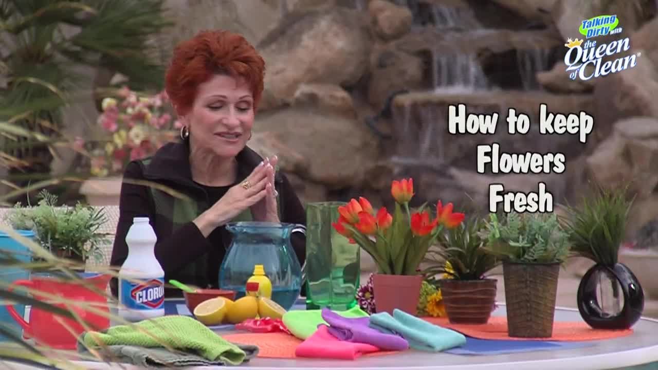 Queen of Clean: How to keep flowers fresh - YouTube