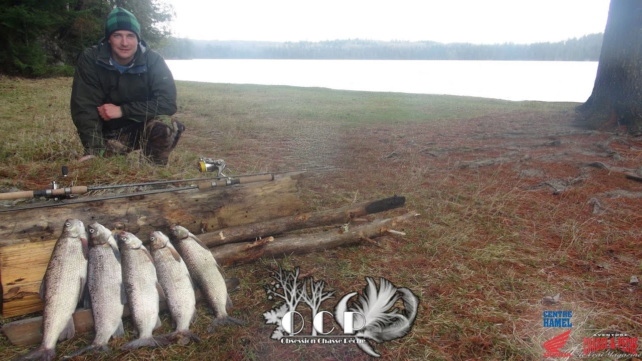 Pêche au Corégone partie 2 / Whitefish fishing part 2 - YouTube