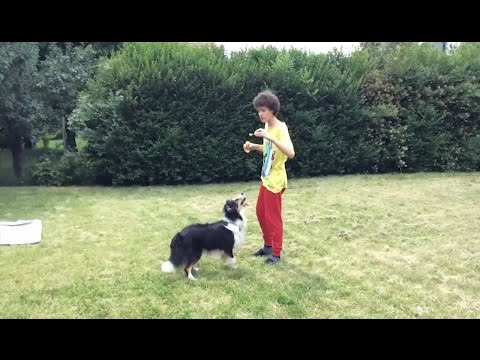 S Brutusom bola zábava aj mimo pľacu (NAŠI)