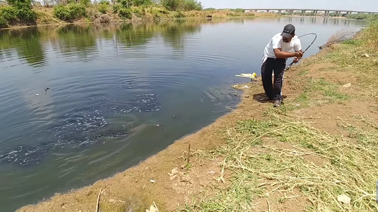 Amazing fishing video | Catching the big catfish - YouTube
