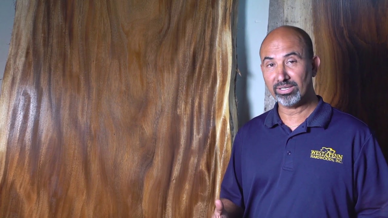 Monkey Pod - YouTube