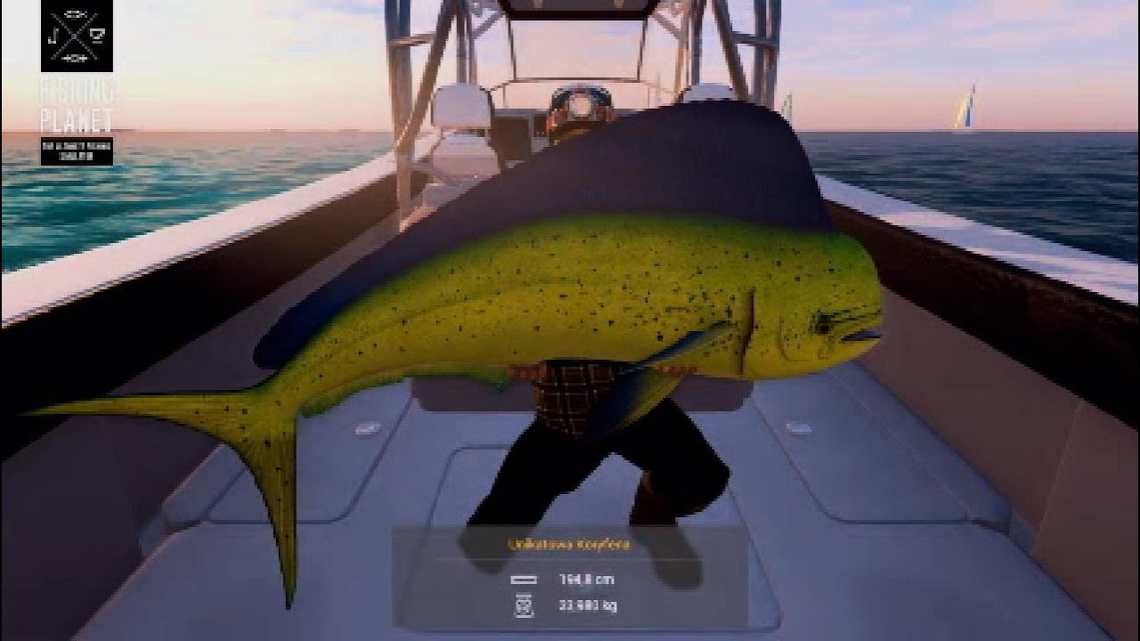 Unikatowa Koryfena - Noomaa Kuda Atholhu Malediwy - Fishing Planet ...