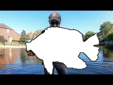 FISHING for the BIGGEST PANFISH EVER!! (biggest on YouTube?) - YouTube