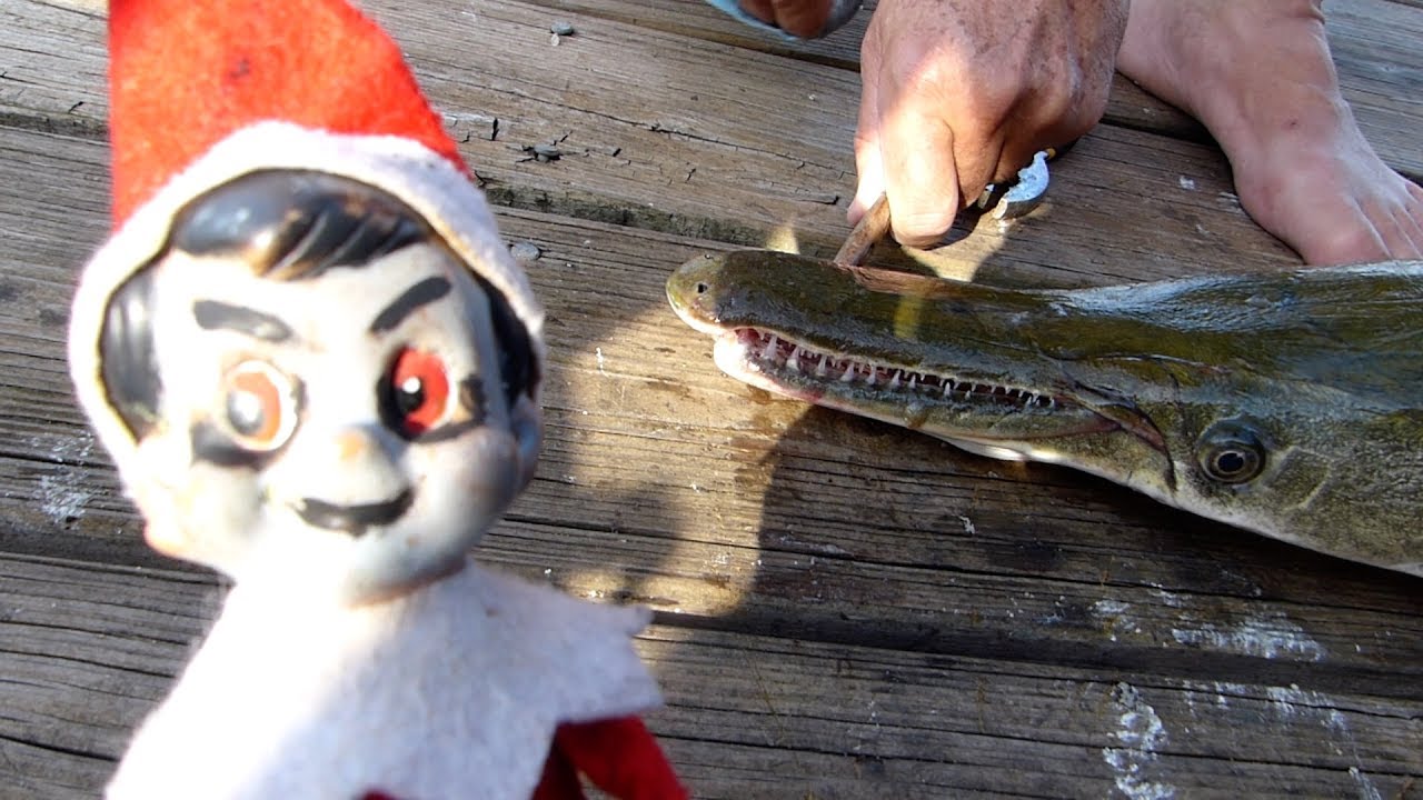 Elf on the Shelf: Vacay to the lake! - YouTube