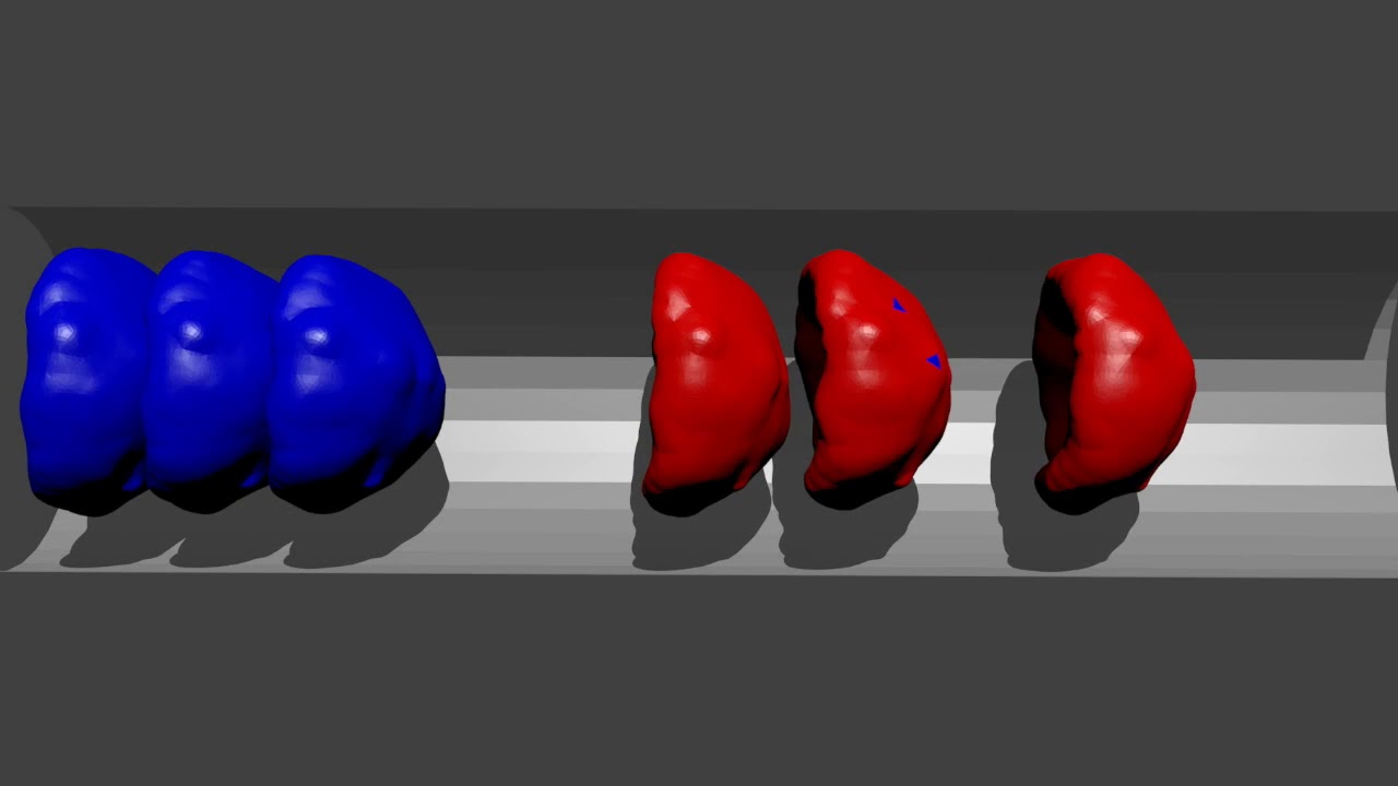 Blood Flow Simulation with LAMMPS - YouTube