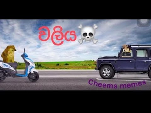 CHEEMS Memes sinhala part 02 || වලිය || - YouTube