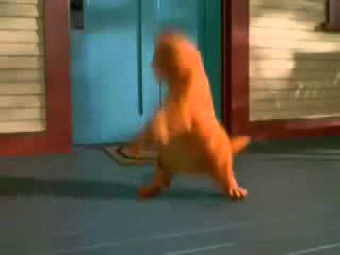CAN CANA PİŞİK.wmv