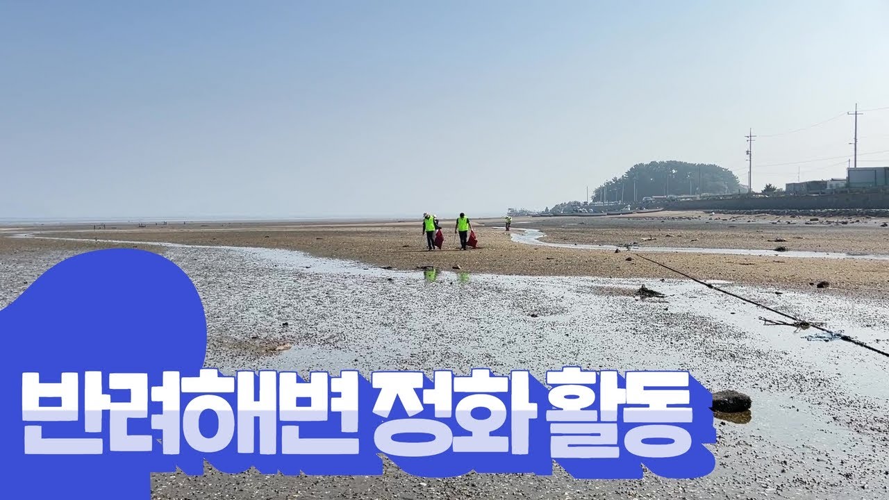 반려해변 정화활동 인천 중구 선녀바위해변 Youtube