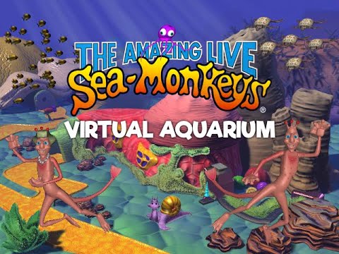 The Amazing Live Sea-Monkeys Virtual Aquarium (1999) PC Game - YouTube