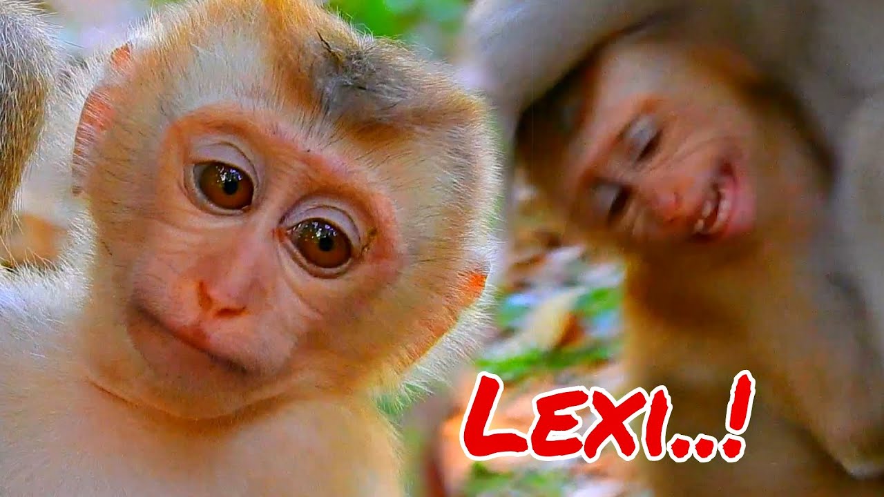 Very Nice Video, Mom Louy Sweet Loves Much Care Baby, So Lovely Baby ...