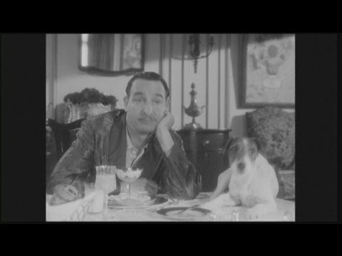 euronews cinema - Jack Russell poised for movie stardom with more ...