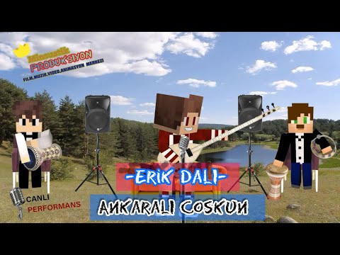 Erik Dalı Coşkun Direk (Minecraft Versiyon)