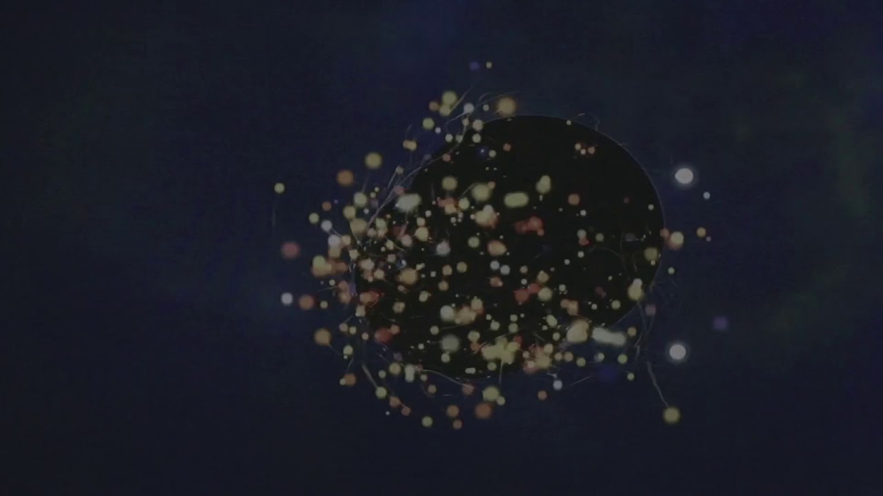 Kaywan - Suicide Watch (Official Visual) - YouTube Music