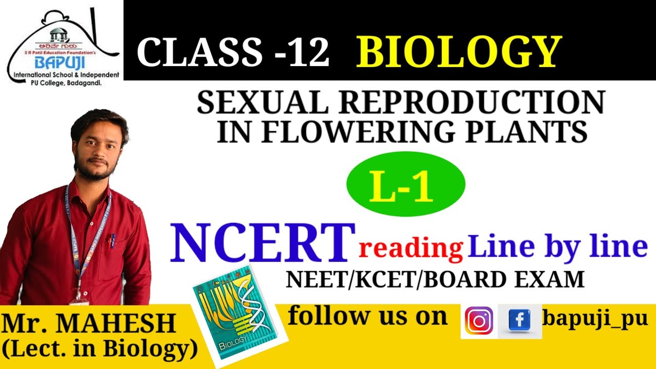 SEXUAL REPRODUCTION IN FLOWERING PLANTS| CLASS 12| NCERT| PARTS OF ...
