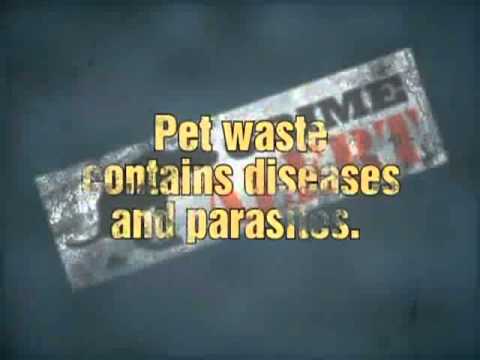 Proper Pet Waste Disposal PSA - YouTube