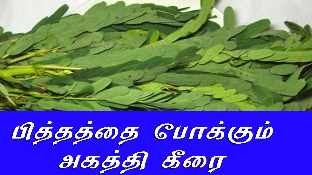 HEALTH BENEFITS OF AGATHI KEERAI IN TAMIL | பித்தத்தை போக்கும் அகத்தி ...
