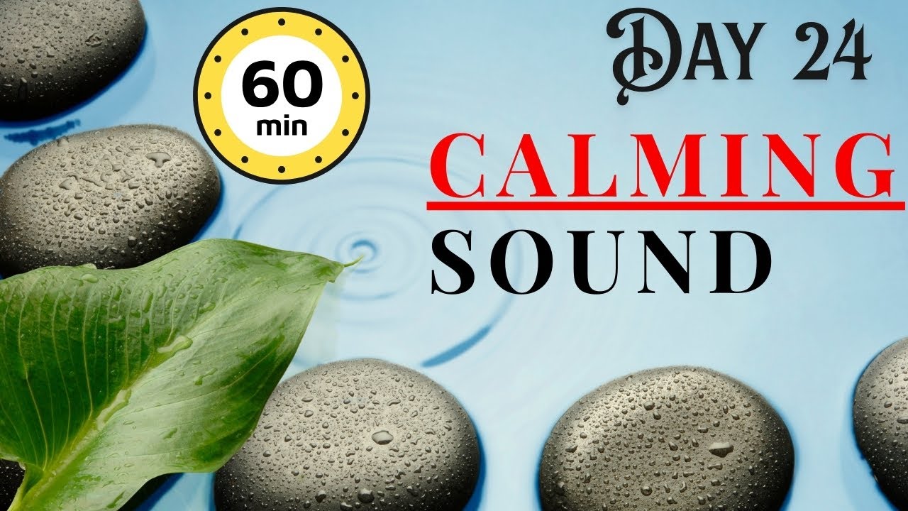 Daily Relaxation with Calming Sounds & 4K Landscapes - YouTube