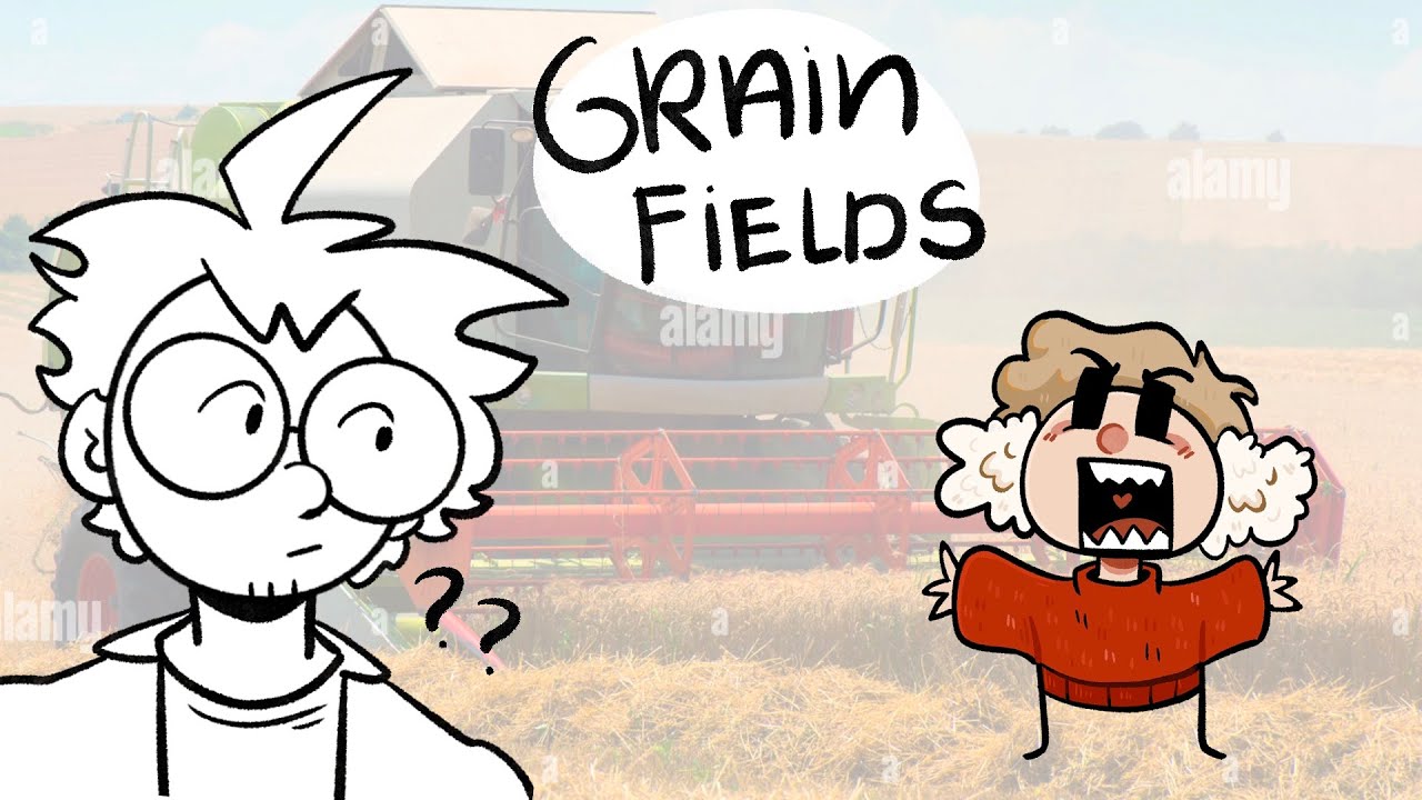 what happens to a grian in a grain field? - YouTube