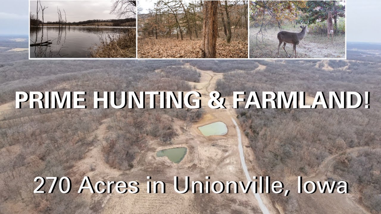 270-Acres of Prime Iowa Hunting Land & Farmland in Appanoose County ...
