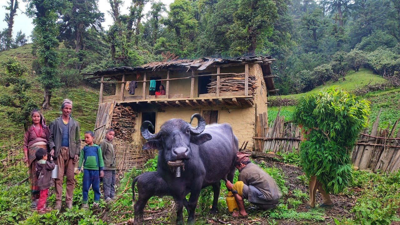 Remote Rural village life in Nepal || Routine of Daily lifestyle ...