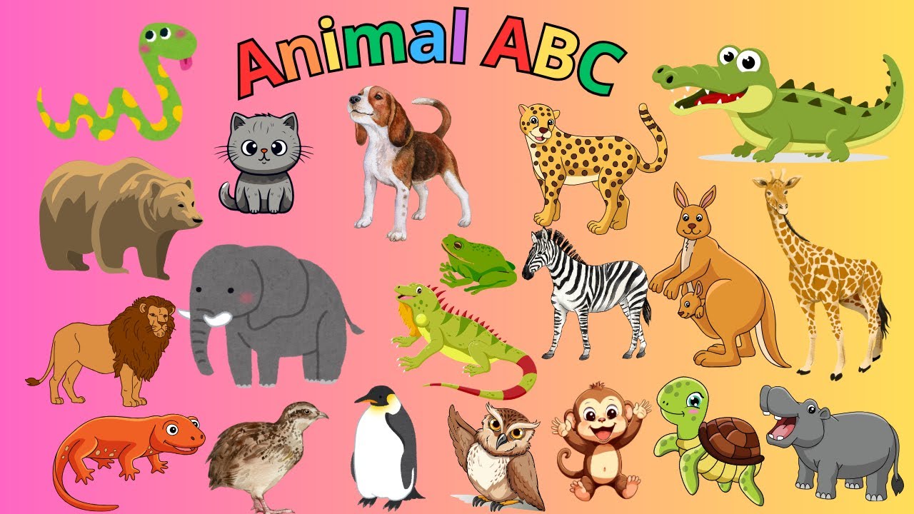Animals ABC | ABC Animals World | Alphabet Animals Song | Kids TV - YouTube