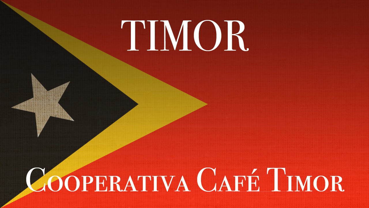 Cooperativa Café Timor - YouTube