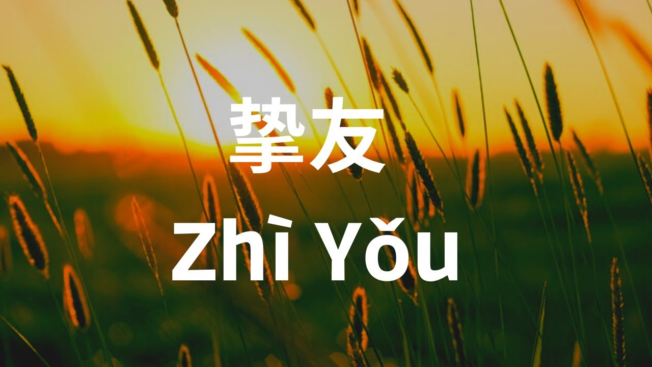 Zhi You 挚友 -黄丽玲 (A- Lin) Cover by 陈颖恩 【动态歌词 Pinyin Lyrics】 - YouTube