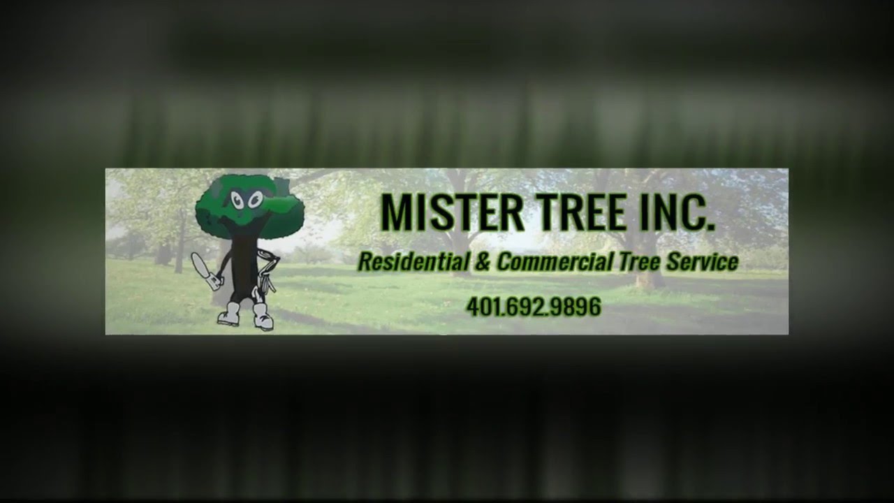 TREE REMOVAL SERVICE IN RI, CT & MA - MISTER TREE INC - YouTube