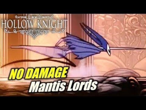 Hollow Knight: Defeating Radiant Mantis Lords (Without taking damage ...