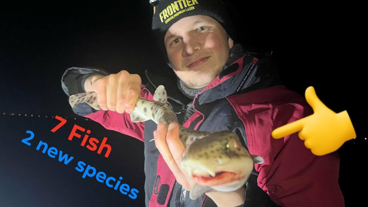 Conger Fishing Live With Dangler - YouTube