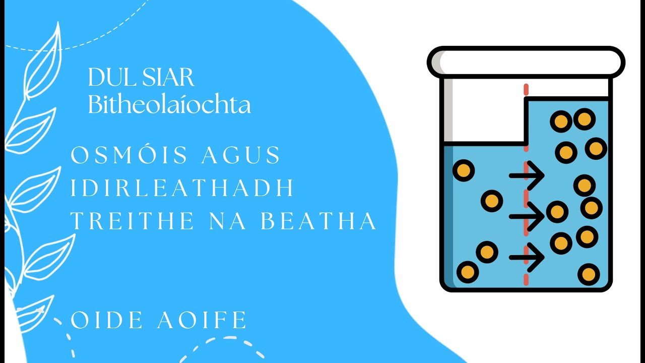 Dul Siar: Osmóis & Idirleathadh agus Treithe na Beatha - YouTube