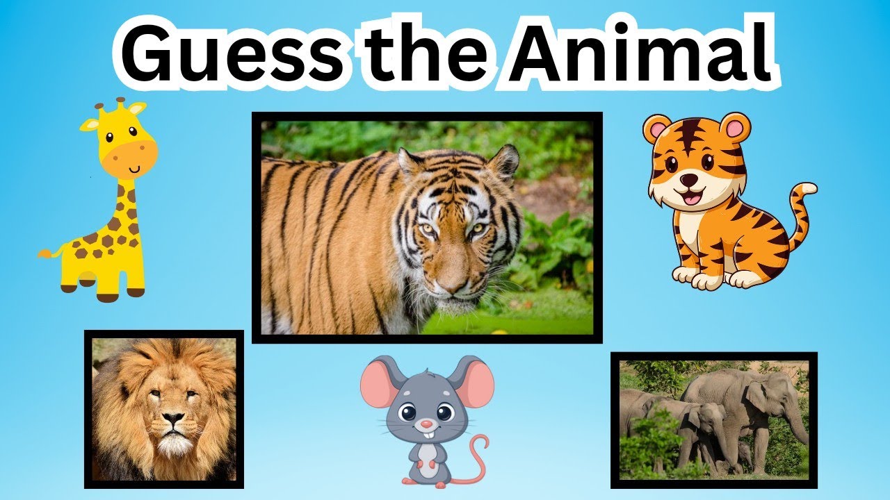 Guess the Animals|Animals|Animals for kids - YouTube
