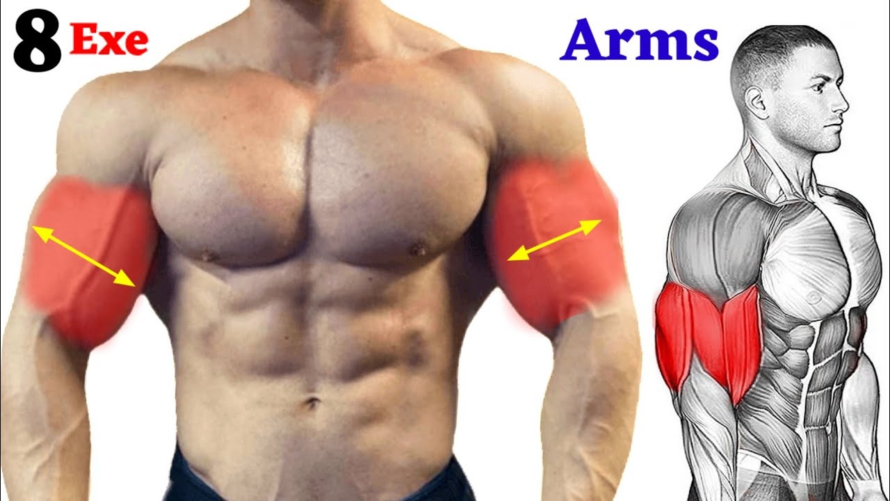 8 Best Super Fast Stronger arms exercise for biceps and triceps Work ...