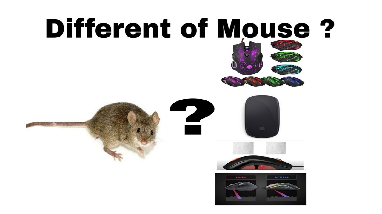 shopping - Different of Mouse | Deaf | Indian sign language - YouTube