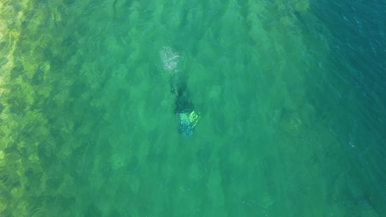 Fall Scuba Diving In Lake Wazee - YouTube