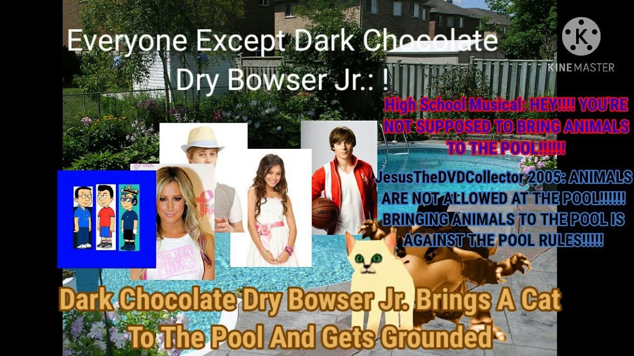 Dark Chocolate Dry Bowser Jr. Brings A Cat To The Pool And Gets ...