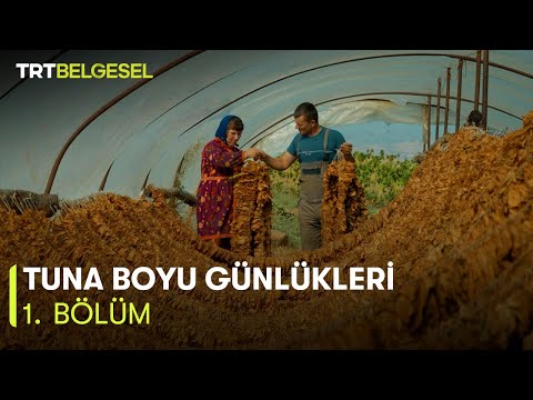 Tuna Boyu Günlükleri | (1. Bölüm) | TRT Belgesel