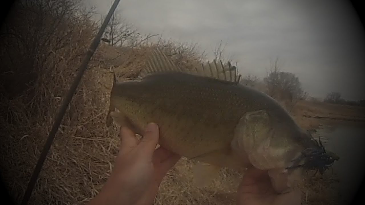 Nice bass on nutech jig fishing tough conditions - YouTube