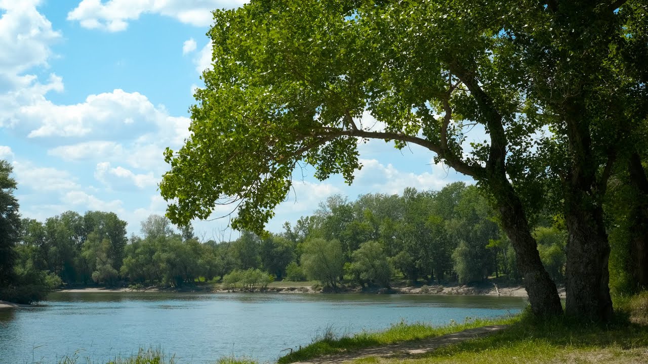 Beautiful Relaxing Hymns, Peaceful Instrumental Music "Praise the Lord ...